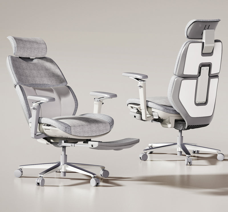 Ergonomic Office Chairs & Standing Desks – ProtoArc