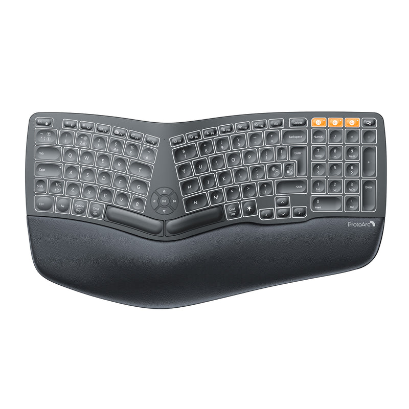 Keyboards - Foldable, Ergonomic, Mechanical, Wireless, Bluetooth – ProtoArc