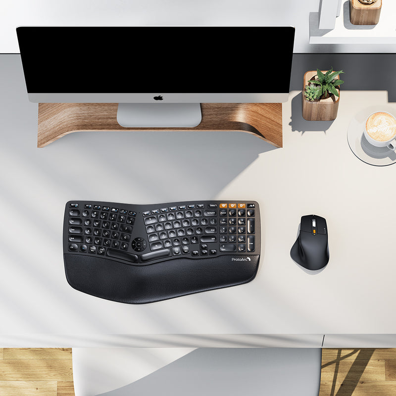 ProtoArc Reviews #6 - EM01